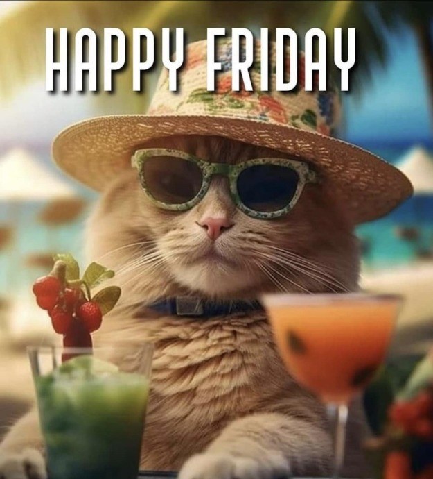 Happy Friday! - Lolcats - lol | cat memes | funny cats | funny cat ...