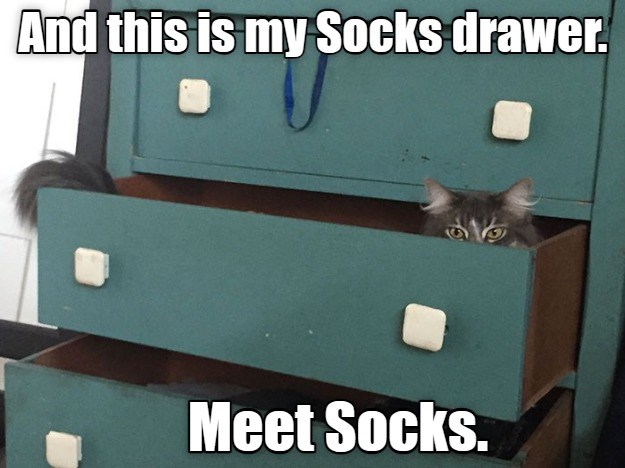 Socks - Lolcats - lol | cat memes | funny cats | funny cat pictures ...