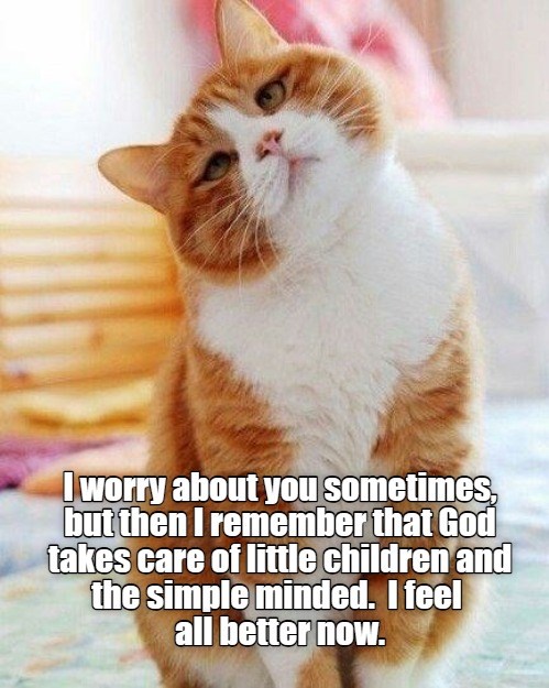 Simple solutions - Lolcats - lol | cat memes | funny cats | funny cat ...