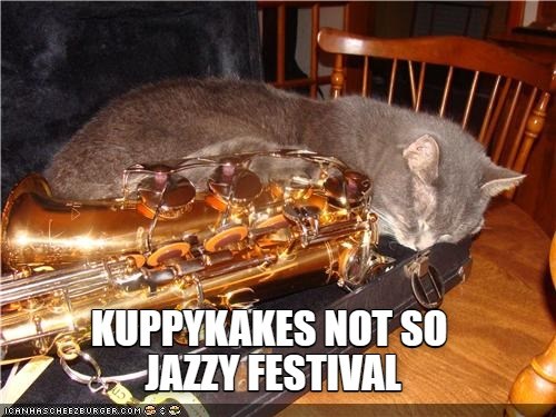 Festival Season - Lolcats - lol | cat memes | funny cats | funny cat ...