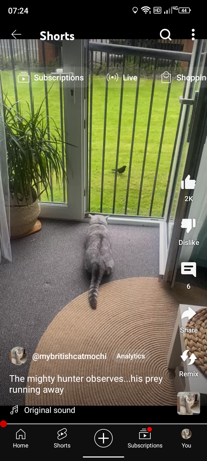 The mighty hunter observes... his prey running away - Lolcats - lol ...