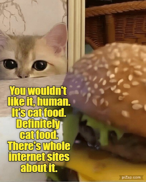 OnlyCatCanHasCheezburger - I Can Has Cheezburger?