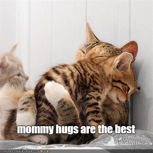 The best - Lolcats - lol | cat memes | funny cats | funny cat pictures ...