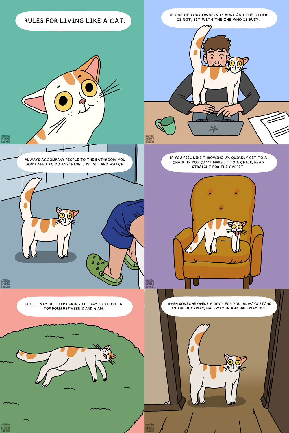 Rules For Living Like A Cat - I Can Has Cheezburger?