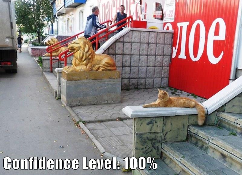 We see no difference - Lolcats - lol | cat memes | funny cats | funny ...
