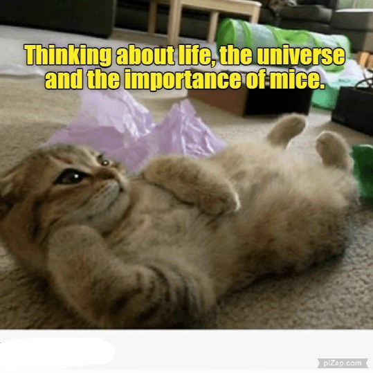 The usual stuff - I Can Has Cheezburger?