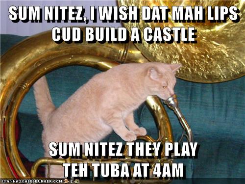 4am tuba - Lolcats - lol | cat memes | funny cats | funny cat pictures ...