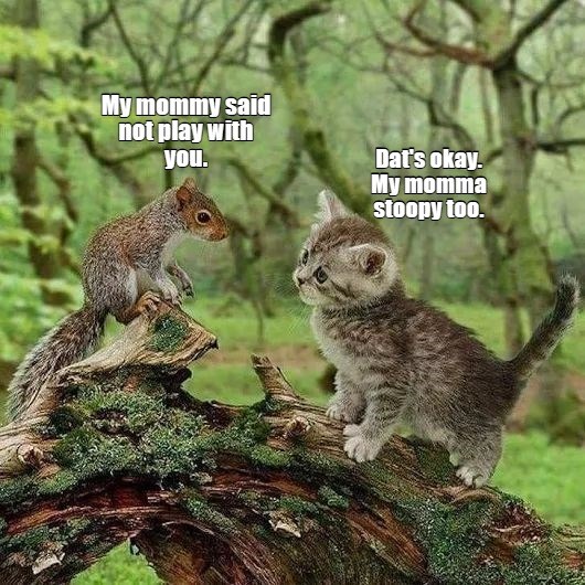 Careful what you teach 'em... - Lolcats - lol | cat memes | funny cats ...