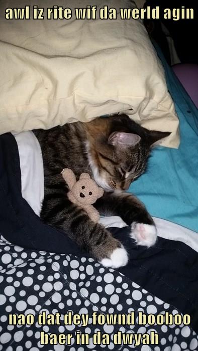 Everything's all right - Lolcats - lol | cat memes | funny cats | funny ...