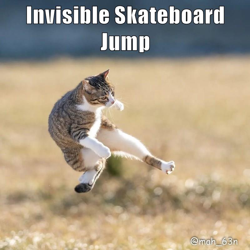 Invisible skateboard jump - Lolcats - lol | cat memes | funny cats ...