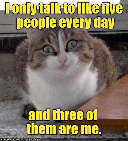 Two's company, three's my reality - Lolcats - lol | cat memes | funny ...