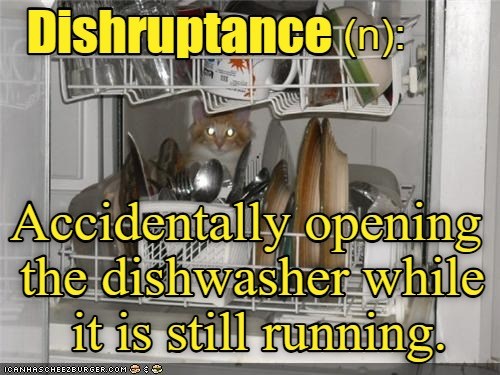 Daffynition- Dishruptance - Lolcats - lol | cat memes | funny cats ...