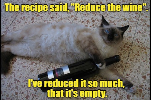 Oops - Lolcats - lol | cat memes | funny cats | funny cat pictures with ...