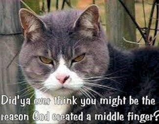 Good chance - Lolcats - lol | cat memes | funny cats | funny cat ...