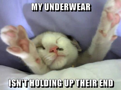 Oops - Lolcats - lol | cat memes | funny cats | funny cat pictures with words on them | funny ...