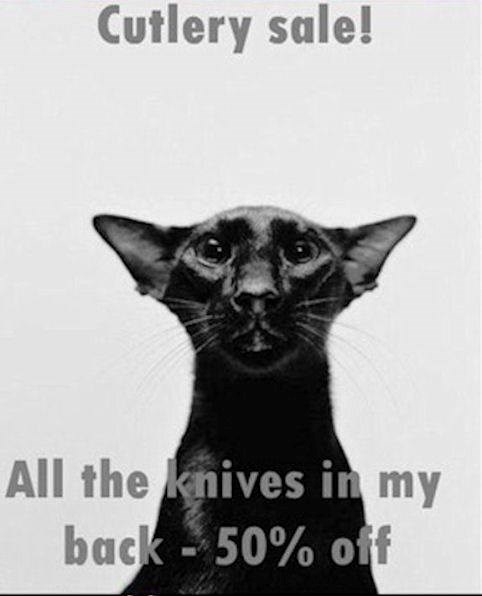 All sizes and shapes - Lolcats - lol | cat memes | funny cats | funny ...