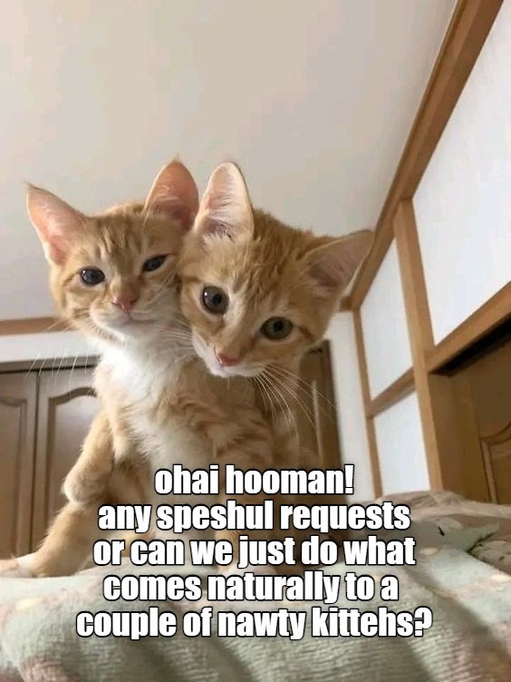 Just make sure you have fun - Lolcats - lol | cat memes | funny cats ...