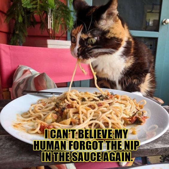 Not again! - I Can Has Cheezburger?