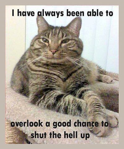 Think again - Lolcats - lol | cat memes | funny cats | funny cat ...