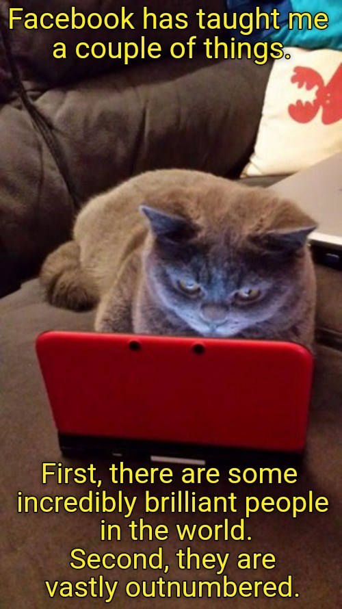 Knowledge is power - Lolcats - lol | cat memes | funny cats | funny cat ...