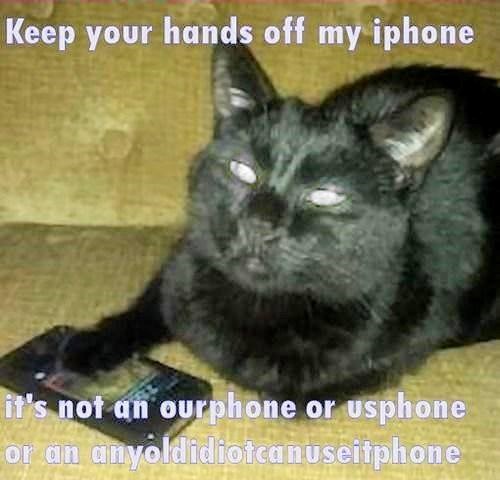 Can you spell itsmyphone - Lolcats - lol | cat memes | funny cats ...