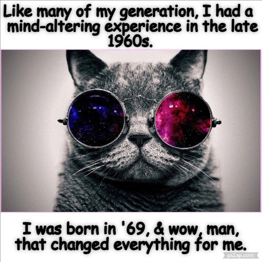 It was the trip of a lifetime, man... - Lolcats - lol | cat memes ...