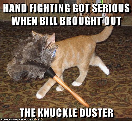The knuckle duster - Lolcats - lol | cat memes | funny cats | funny cat ...