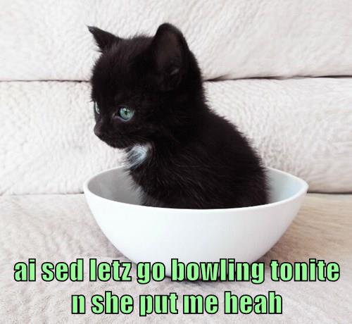 Technically correct - Lolcats - lol | cat memes | funny cats | funny ...