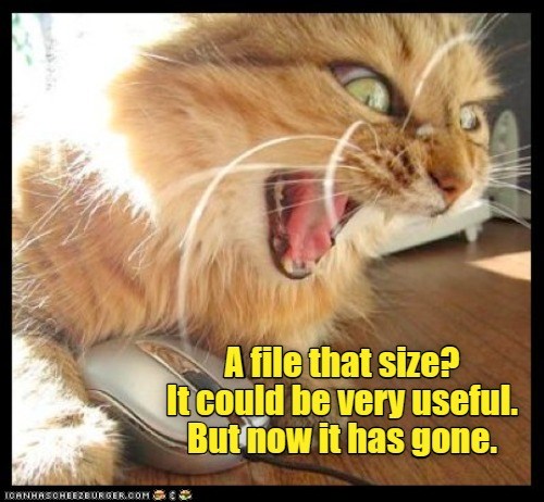 Computer Haiku - Lolcats - lol | cat memes | funny cats | funny cat ...