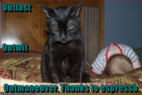 Thanks to espresso - Lolcats - lol | cat memes | funny cats | funny cat ...