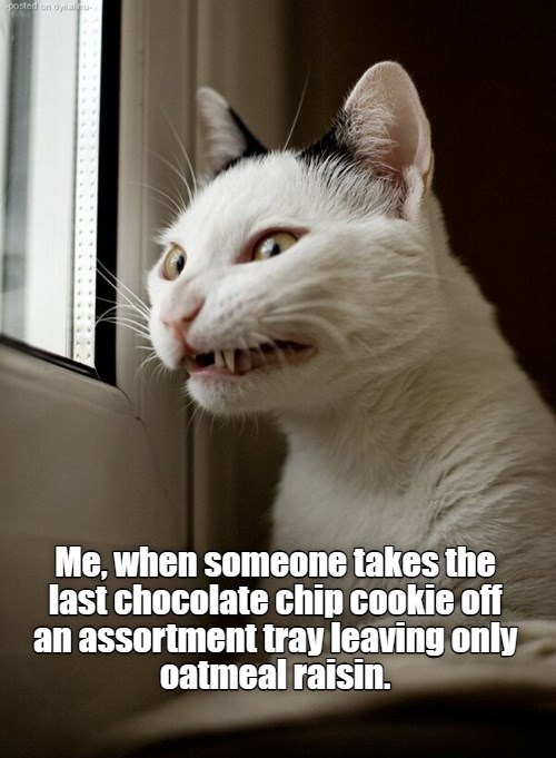 Eww - Lolcats - lol | cat memes | funny cats | funny cat pictures with ...