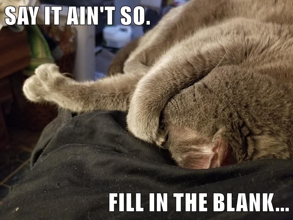 Fill in the blank - Lolcats - lol | cat memes | funny cats | funny cat ...