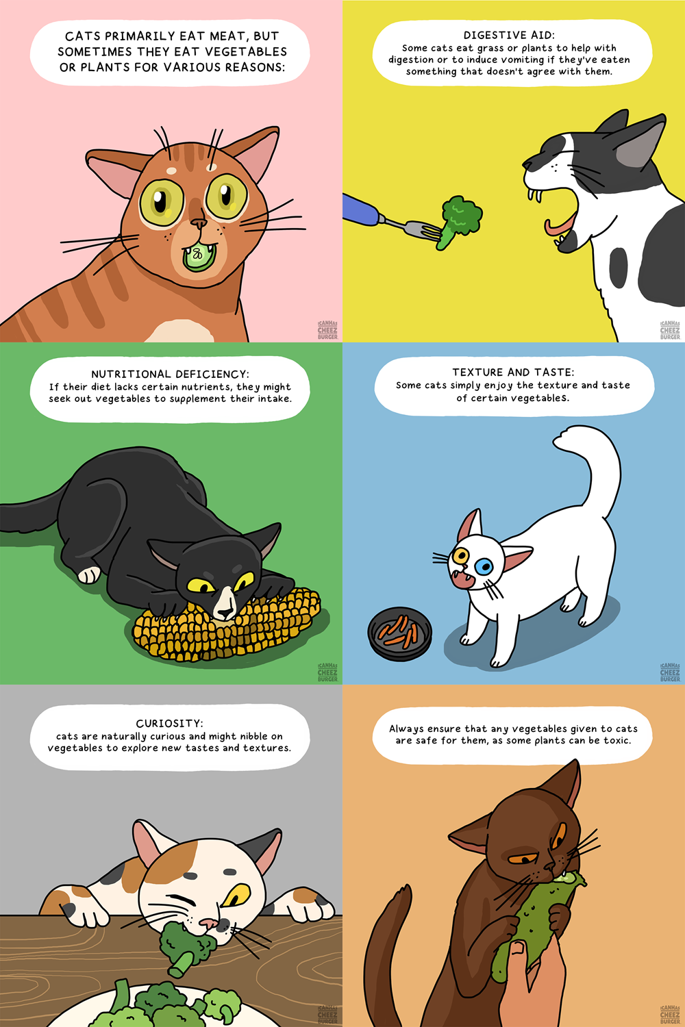Cats And Vegetables - I Can Has Cheezburger?