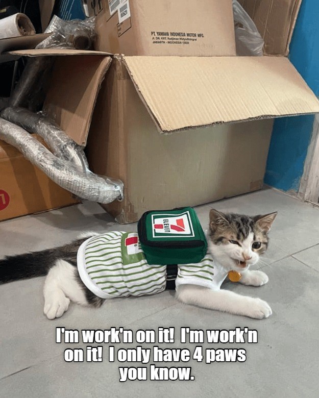 palingates: Sarah and Todd Palin, Jeremy Morlock's family, and more ...