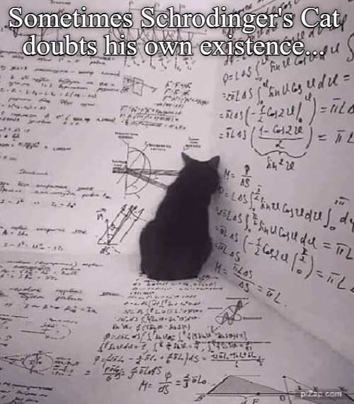 Math can make you do that... - Lolcats - lol | cat memes | funny cats ...