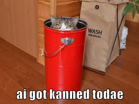 Canned - Lolcats - lol | cat memes | funny cats | funny cat pictures ...