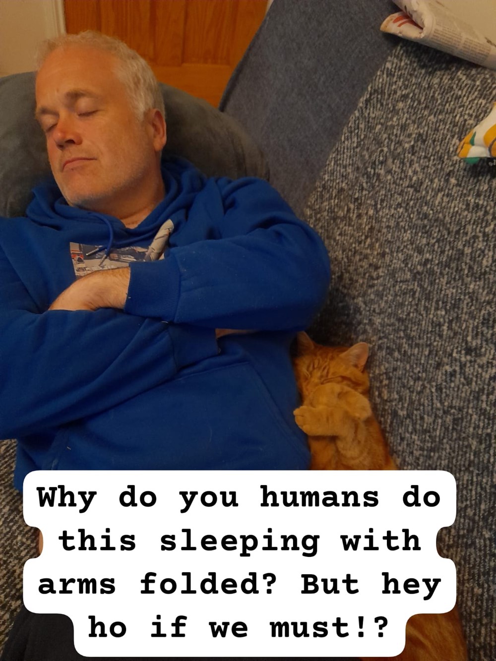 Copycat! - Lolcats - lol | cat memes | funny cats | funny cat pictures ...