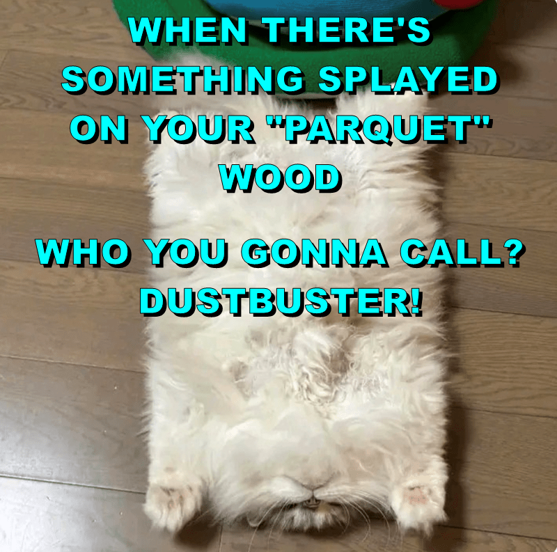 Dustbuster! - Lolcats - lol | cat memes | funny cats | funny cat ...