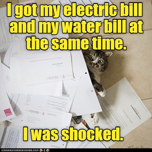 Current price of utilities - Lolcats - lol | cat memes | funny cats ...