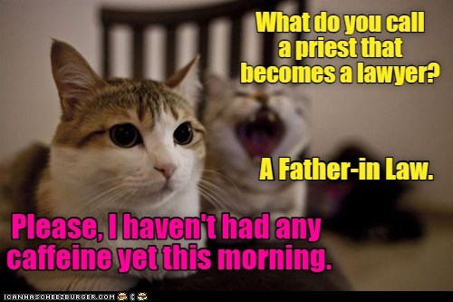 Early humor is too early - Lolcats - lol | cat memes | funny cats ...