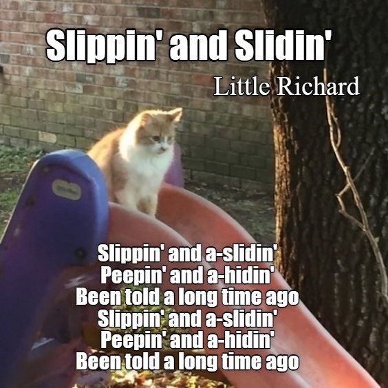 Slippin' and Slidin' - Lolcats - lol | cat memes | funny cats | funny ...