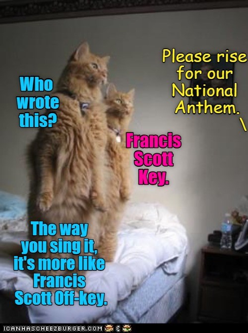 The Star Strangled Banner - Lolcats - lol | cat memes | funny cats ...