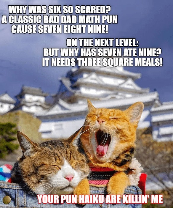 Another pun haiku from the Dad Poet Society - Lolcats - lol | cat memes ...