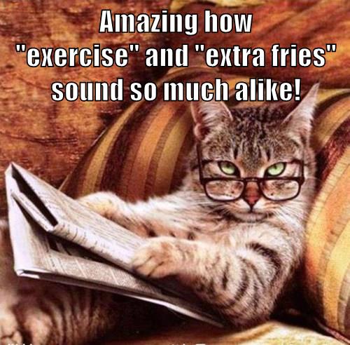 Amazing - Lolcats - lol | cat memes | funny cats | funny cat pictures ...