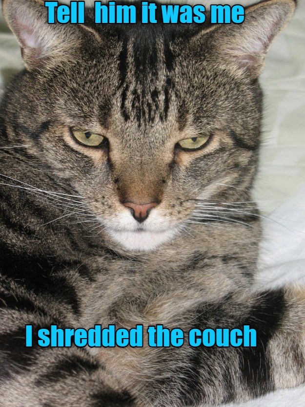 I want him to know it was me. - I Can Has Cheezburger?