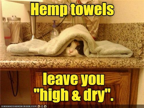 Remove them from the dryer before they start smoking - Lolcats - lol ...