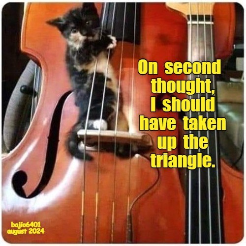 Oops - Lolcats - lol | cat memes | funny cats | funny cat pictures with ...