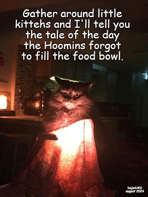 The sheer horror - Lolcats - lol | cat memes | funny cats | funny cat ...