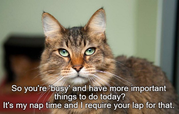 So sit down and make yourself comfortable and I'll do the same ...