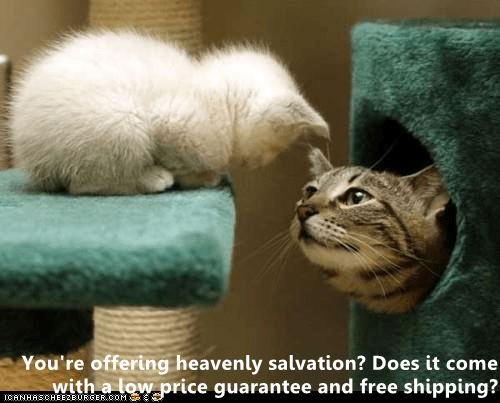 You're offering heavenly salvation? - Lolcats - lol | cat memes | funny ...